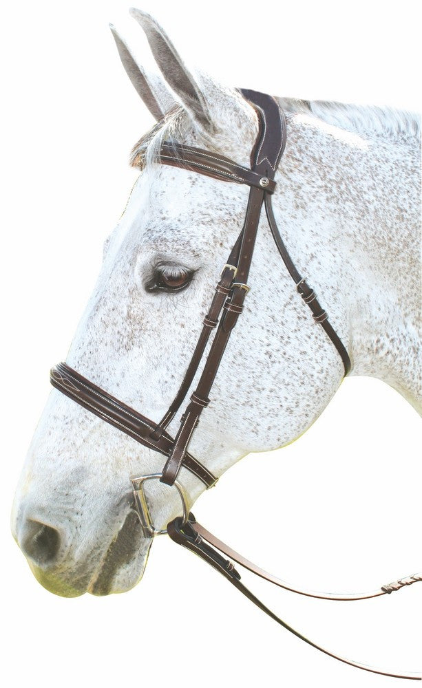 hdr-bridles-info – Outlaw Outfitters